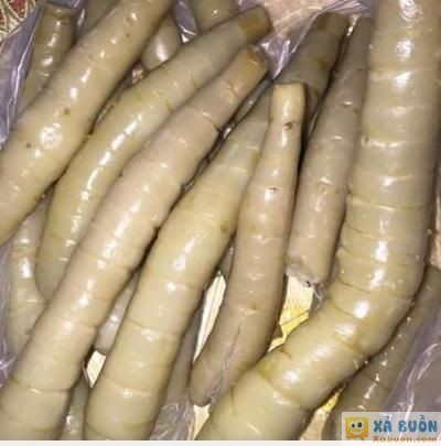:3 dự là nhiều người không biết củ này (y)